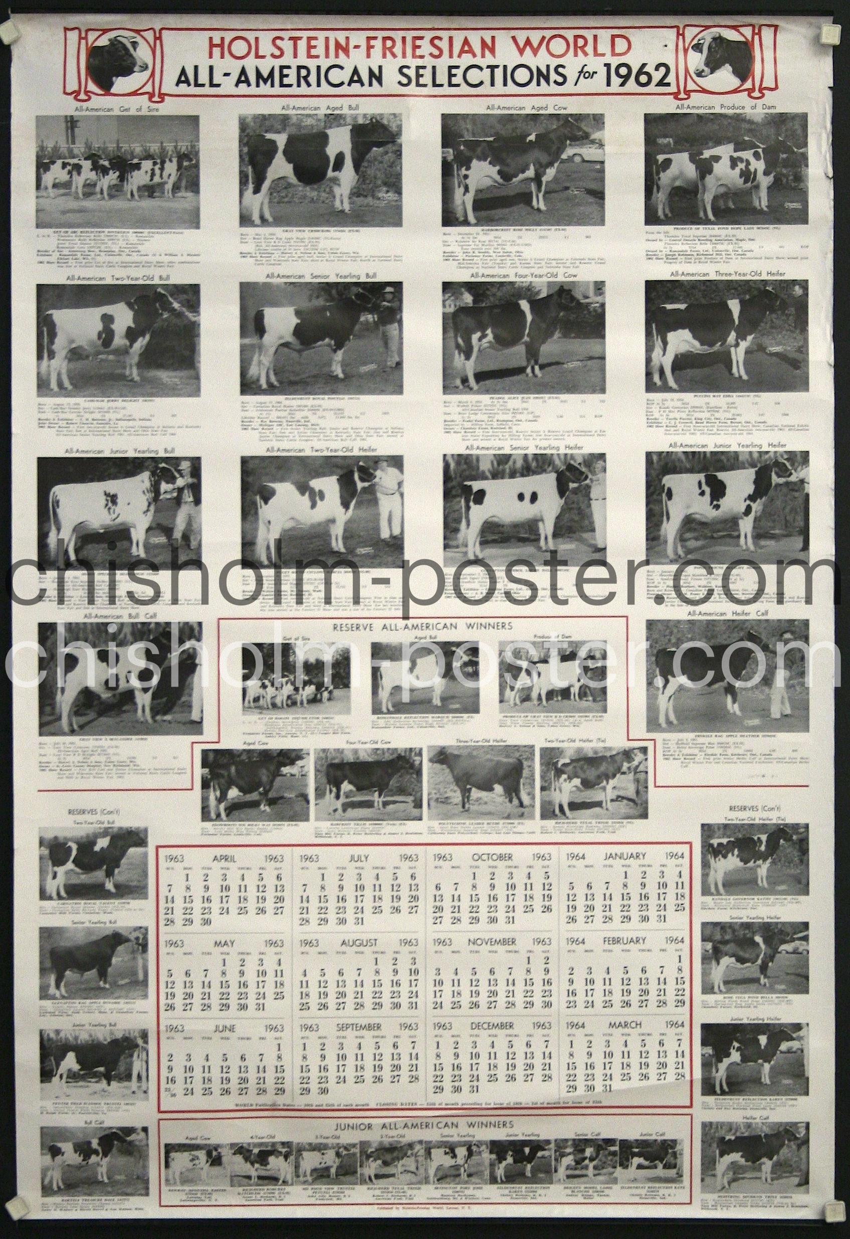 Holstein Friesian World, All American Selections for 1962, Cow Calendar ...