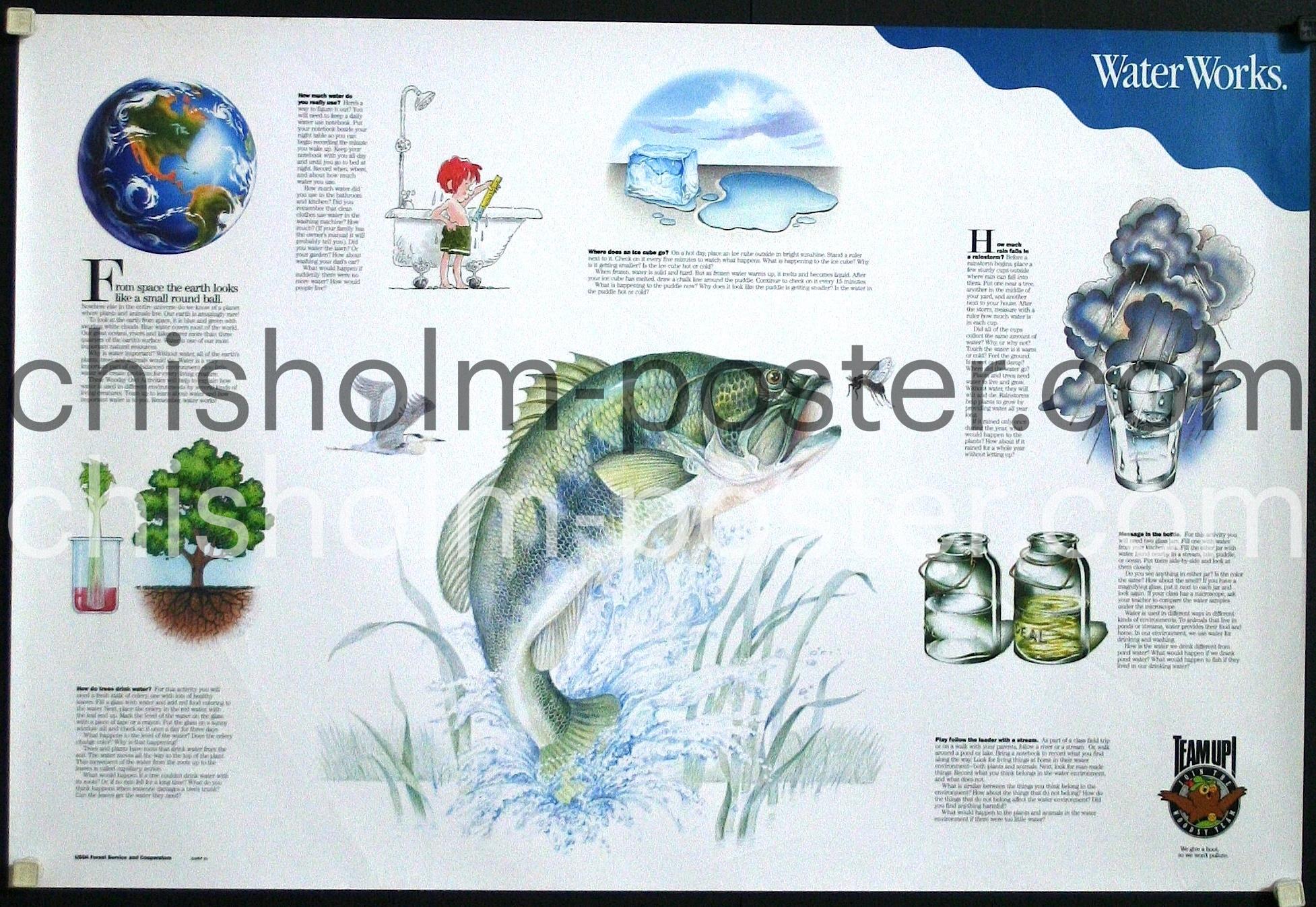 Litter Facts - USDA Forest Service and Cooperators | Original Vintage ...