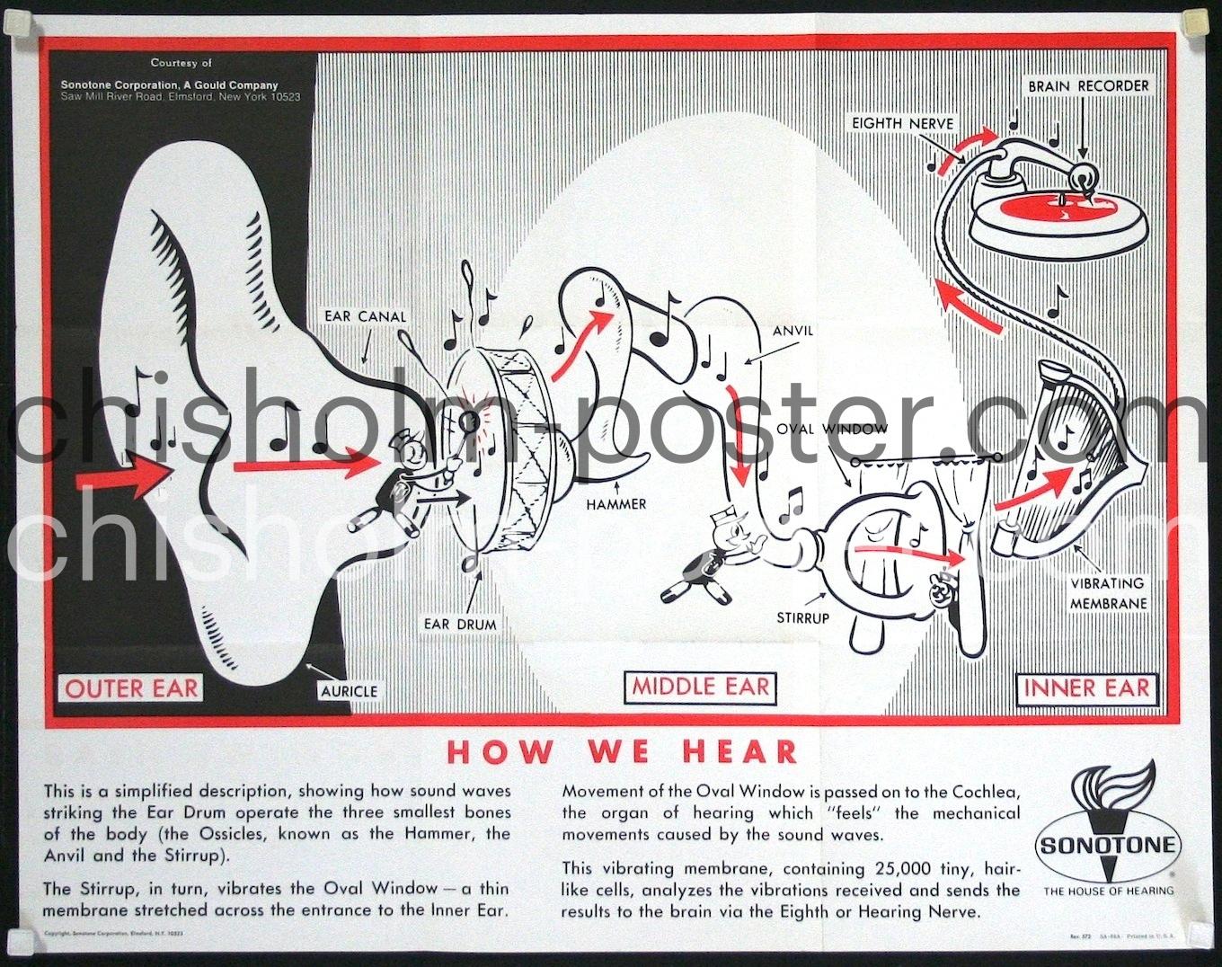 How We Hear - Sonotone - The House of Hearing | Original Vintage Poster ...