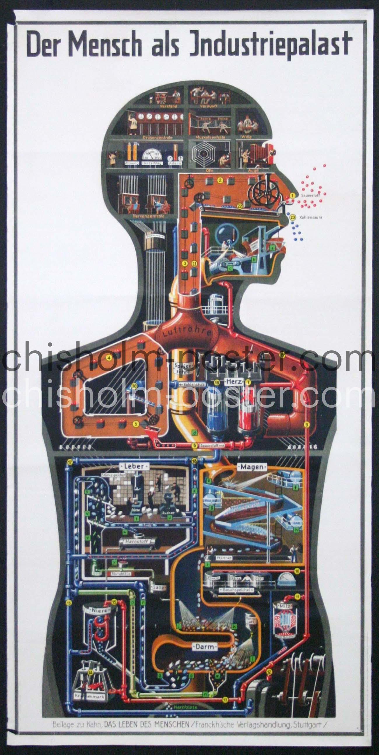 Der Mensch als Industriepalast | Original Vintage Poster | Chisholm ...