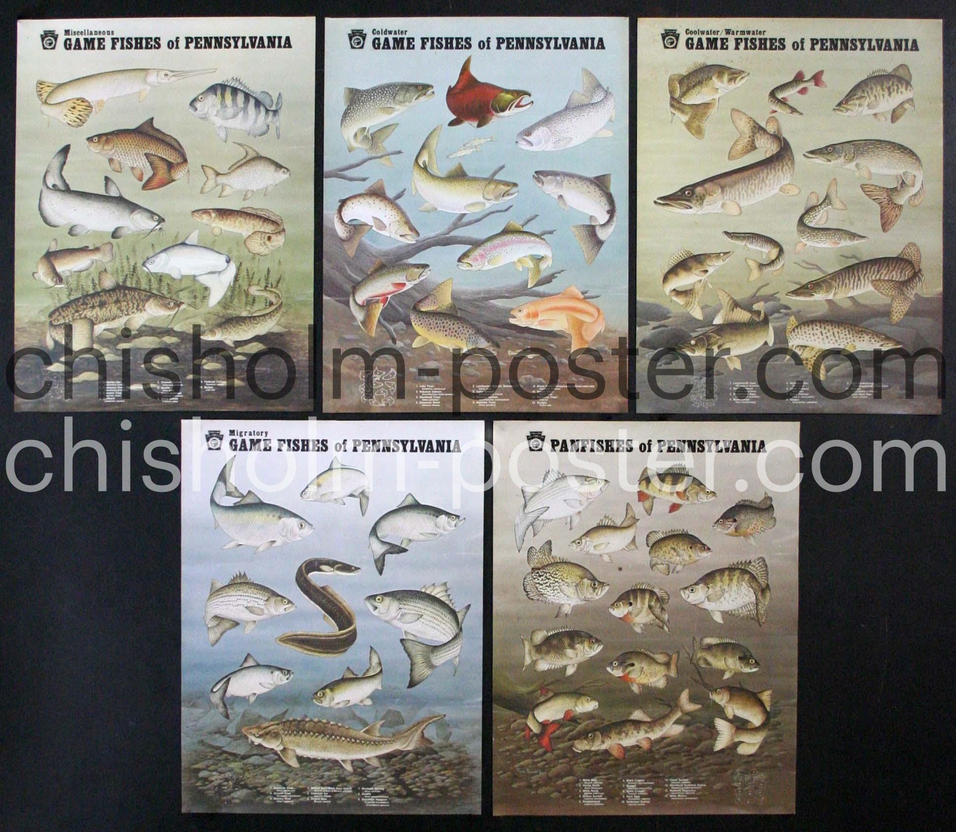 Game & Fishes of Pennsylvania (Set of 5) | Original Vintage Poster ...
