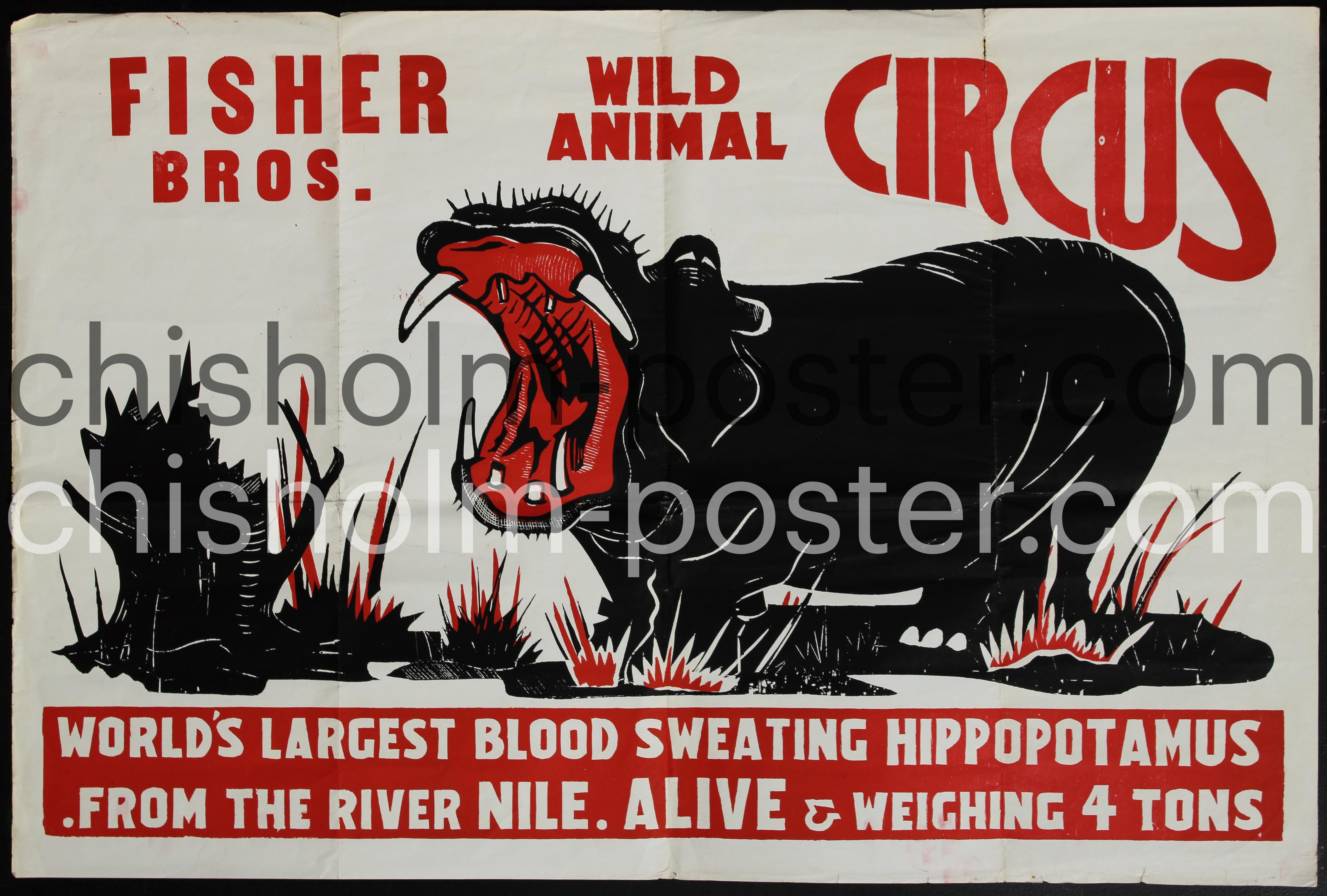 Fisher Bros. Wild Animal Circus - Hippopotamus | Original Vintage ...