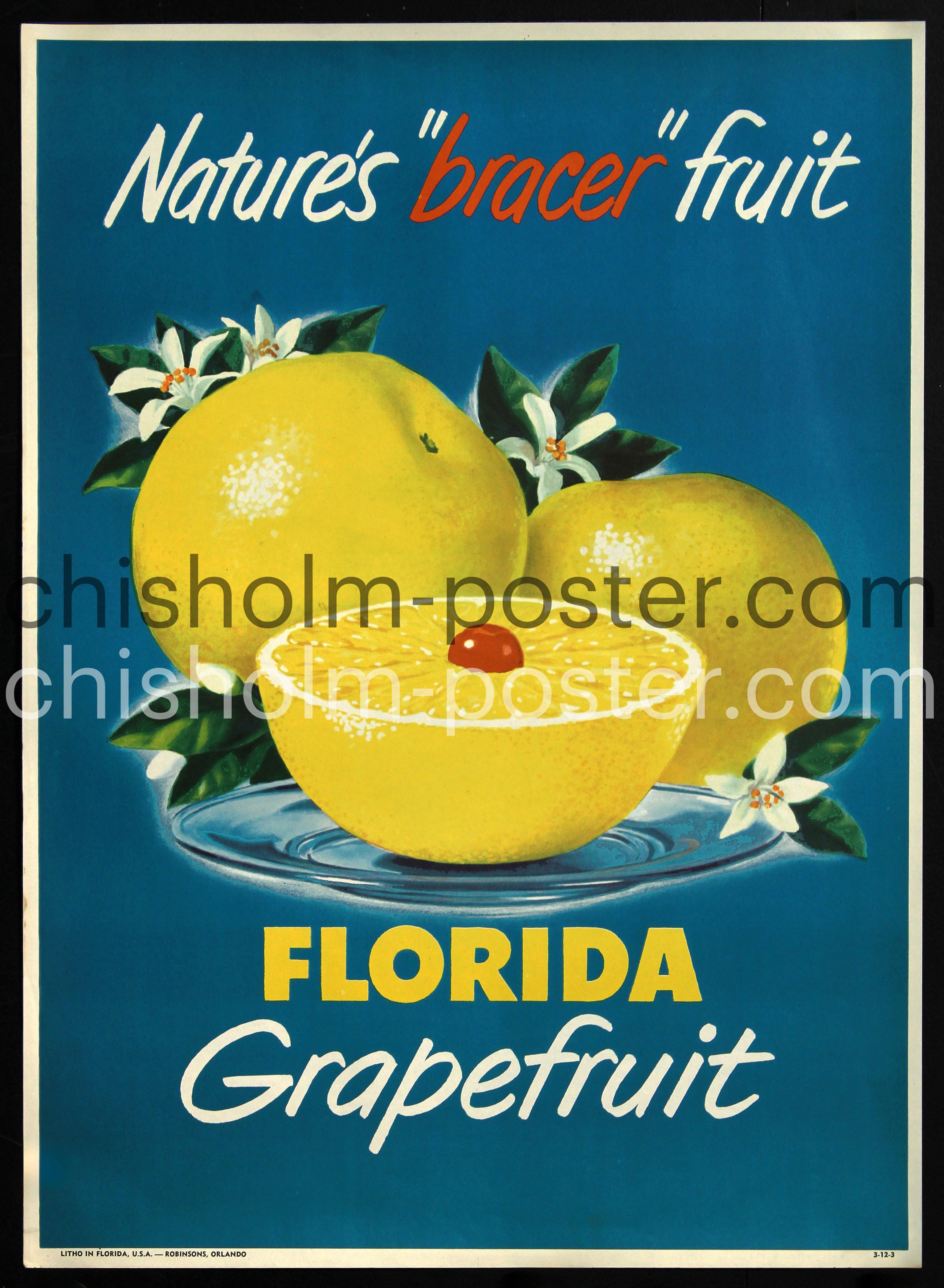 Florida Grapefruit, Natures "Bracer" Fruit | Original Vintage Poster ...