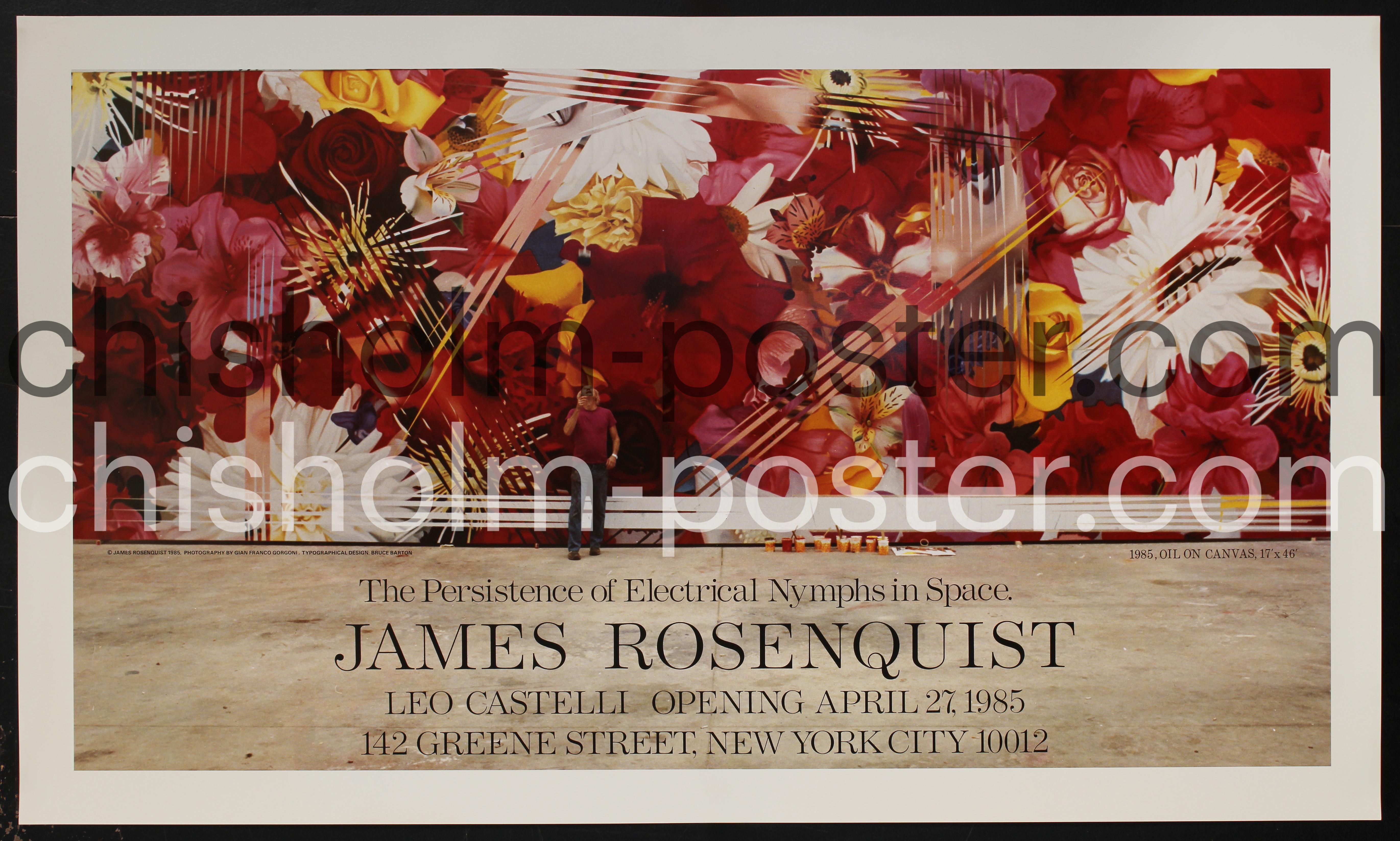 James Rosenquist: The Persistence of Electrical Nymphs in Space - Leo ...