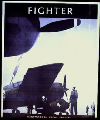 Fighter | Original Vintage Poster | Chisholm Larsson Gallery