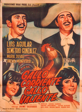Gallo Latina Women