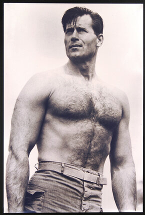 Brandon Roth or Henry Cavill as Superman...Who's the better choice ...