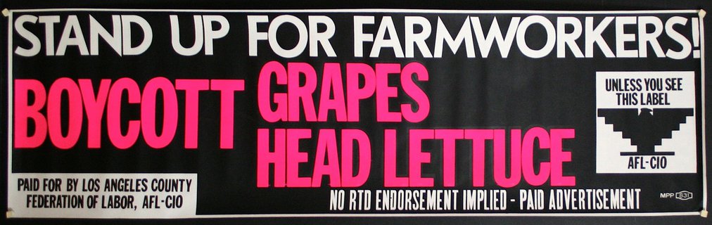 Stand Up For Farm Workers! Boycott Grapes, Head Lettuce - AFL-CIO ...