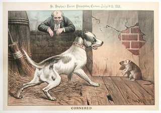 St. Stephen's Review Presentation Cartoon - Cornered | Original Vintage ...