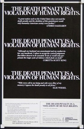 Human Rights Violations Poster
