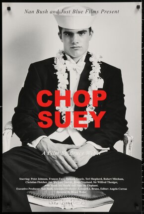 PETER JOHNSON CHOP SUEY - Bruce Weber Documentary | Original Vintage Poster | Chisholm Larsson ...